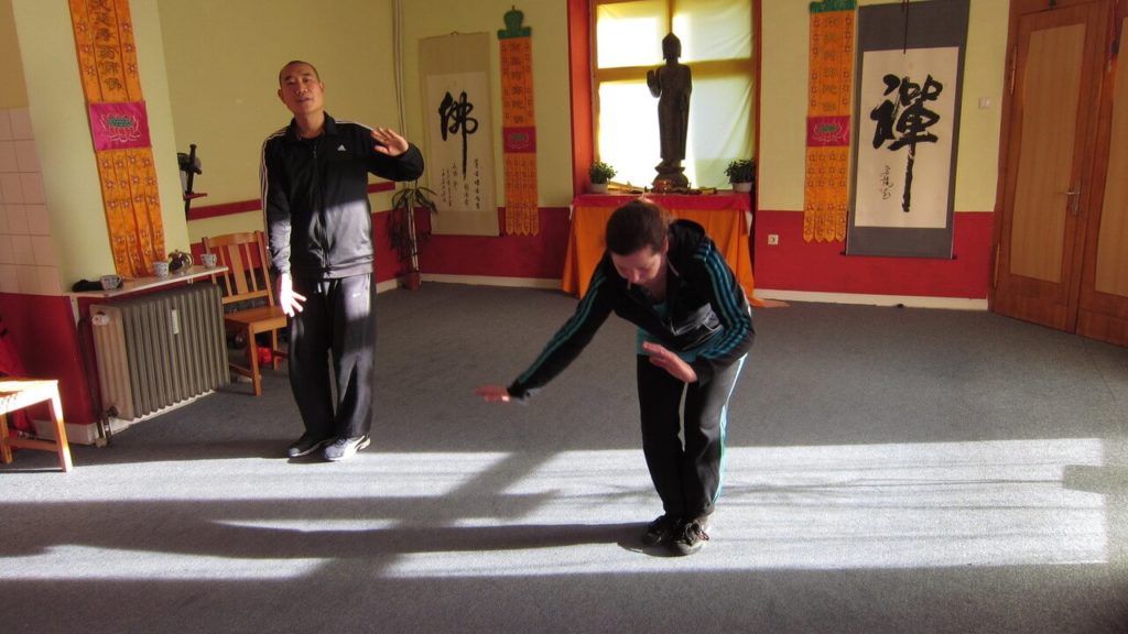 Shaolin-Tai-Chi-24-Form-5 | Shaolin-Training-Bielefeld